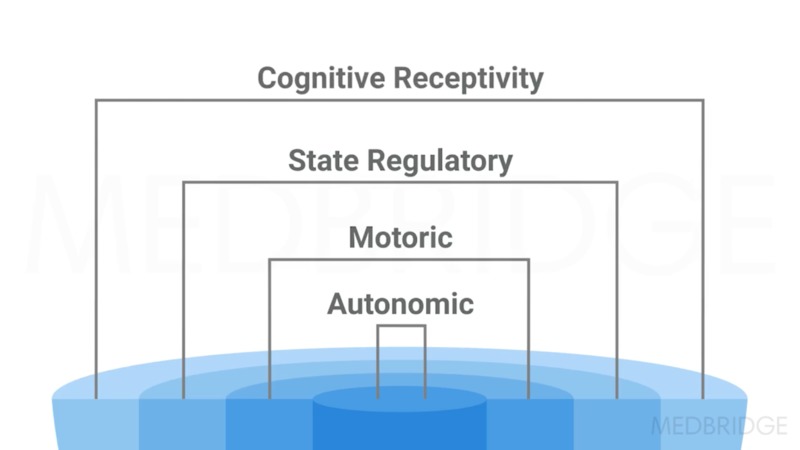 Theoretical Frameworks for Neurodevelopmental and Neurobehavioral ...