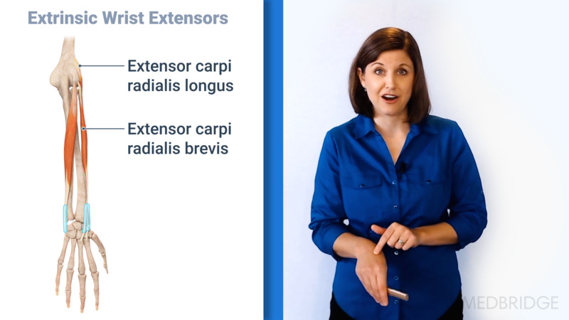 Clinical Examination of the Wrist: A Guide to Classifying Wrist Pain ...