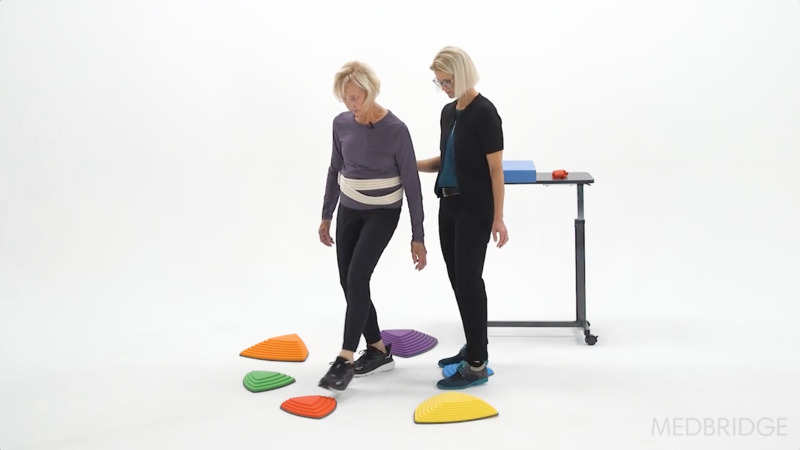 Interventions for Functional Mobility and Gait in the Aging Adult ...