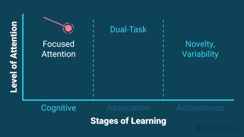 The Science of Intensity in Dual-Task: Dosage, Novelty, and Modality ...