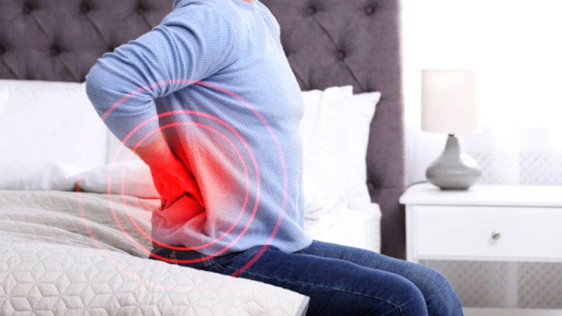 Demystifying Low Back Pain: Practical Approach to Diagnosis and Rehab ...